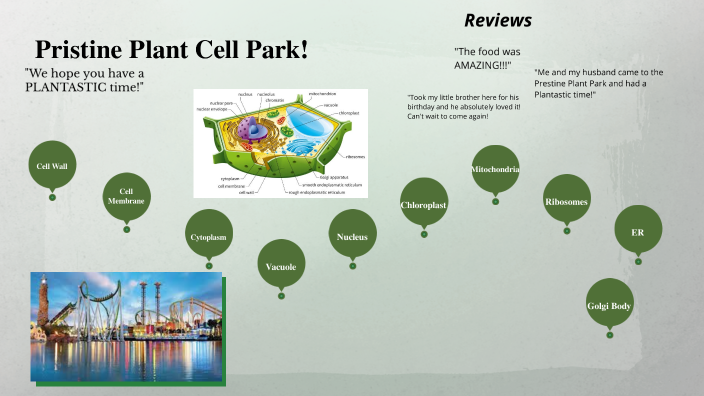 Cell Brochure by Briannah Royster on Prezi