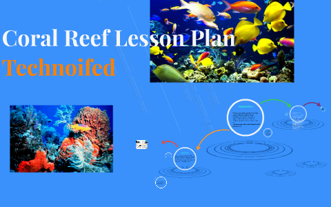 Coral Reef Lesson Plan by on Prezi
