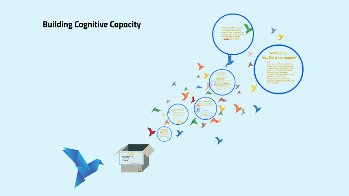 Building Cognitive Capacity by