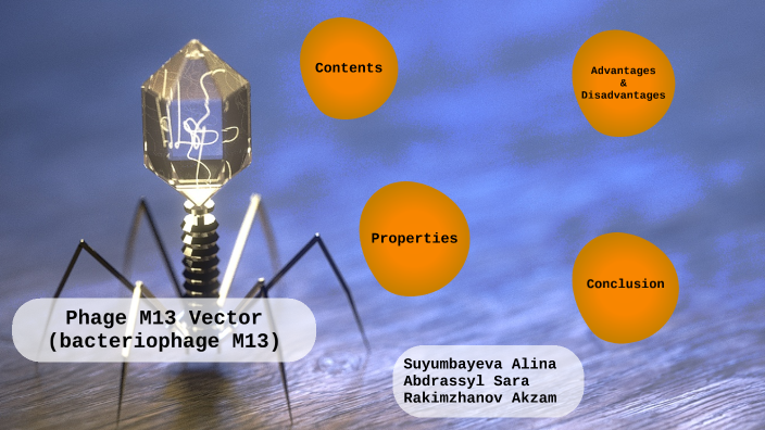 Phage M13 Vector (bacteriophage M13) by Сара Абдрасыл on Prezi