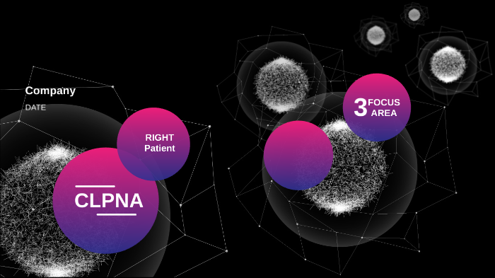 10 Rights 3 Checks! by Sasha Ross on Prezi