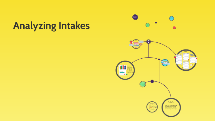 Analyzing Intakes by Paula Diaz
