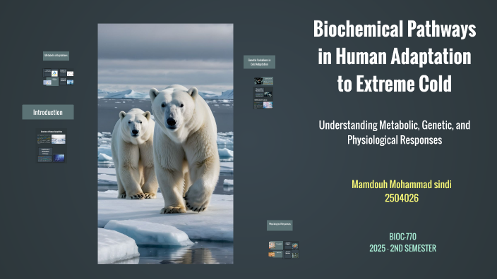 Biochemical Pathways in Human Adaptation to Extreme Cold by Mamdouh ...