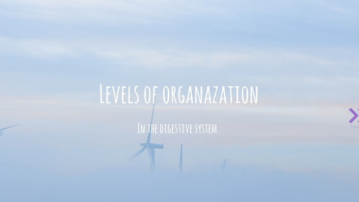 Levels of organization by Abigail Tierney on Prezi