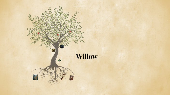 Willow's past by jewel gaemers on Prezi