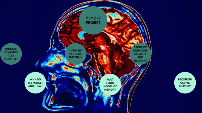 MEMORY by Blessing Owusu on Prezi