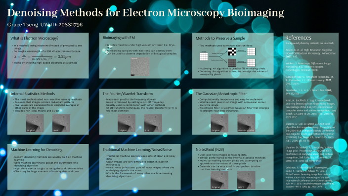 Denoising Methods for Electron Microscopy Bioimaging by Grace Tseng on Prezi