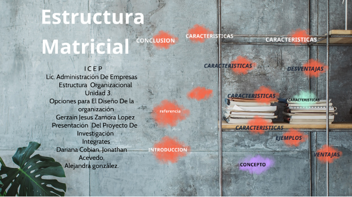 estructura matricial by dariana ignacio cobian on Prezi