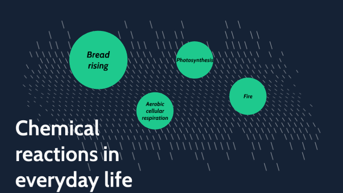 Chemical reactions in everyday life by Alexander Wongchaowart on Prezi