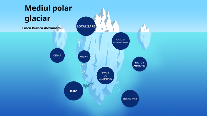 Mediul polar glaciar by lincu bianca on Prezi