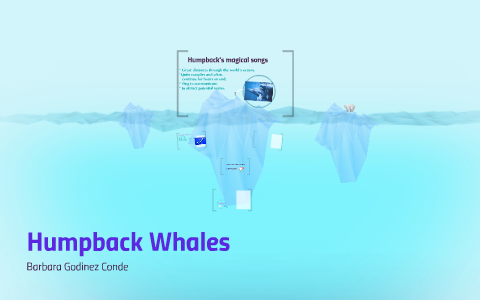 Humpback Whales by Barbara Godinez on Prezi