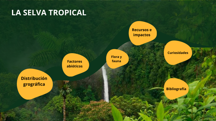 la selva tropical by Marta f on Prezi