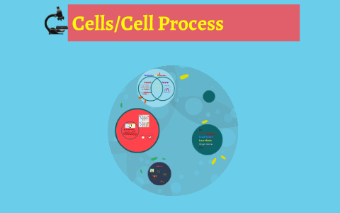 Cells/Cell Process by Ginger Garcia