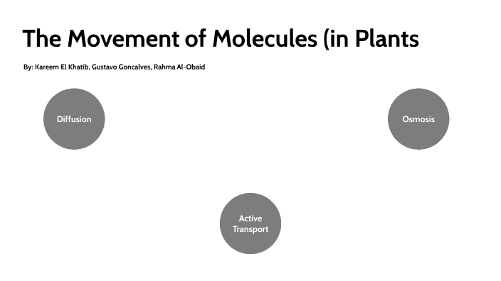 Movement of Molecules (in Plants) by Kareem El Khatib on Prezi