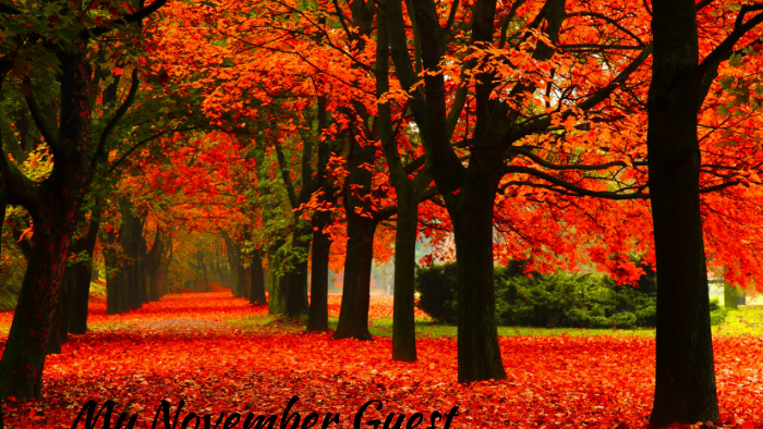 My November Guest by Samantha Bennett on Prezi