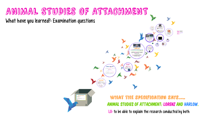 Attachment 3: ANIMAL STUDIES OF ATTACHMENT by Lauren Monteil on Prezi