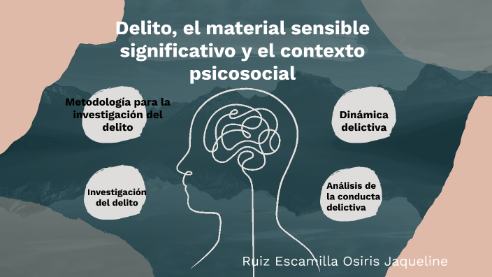 El delito, material sensible y significativo y el contexto psicosocial ...