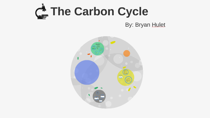 The Carbon Cycle by Bryan Hulet on Prezi