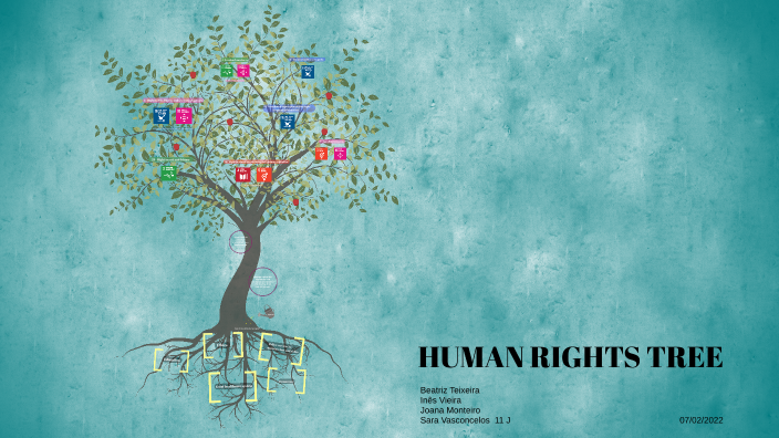 Human Rights tree by Beatriz Teixeira on Prezi
