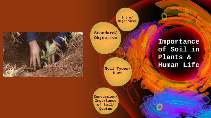 Importance of Soil in Plants & Human Life by Cordero Blade on Prezi