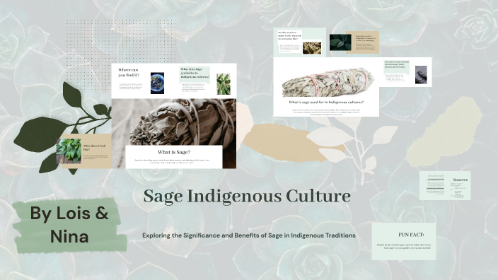 Sage Indigenous Culture by Nina Reynolds on Prezi