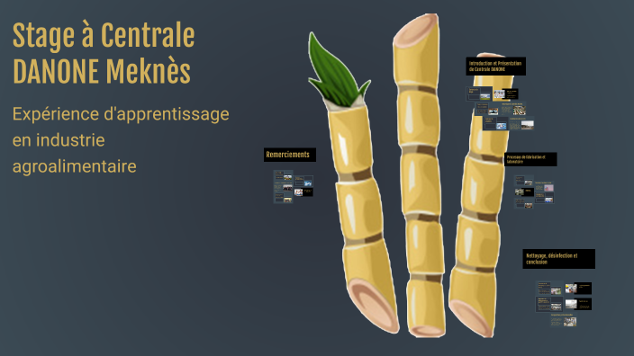 Stage à Centrale DANONE Meknès by Riham El on Prezi