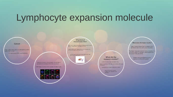 Lymphocyte expansion molecule by Aistė Polikaitytė on Prezi Next