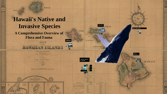 Hawaii's Native and Invasive Species by Noah Hova on Prezi