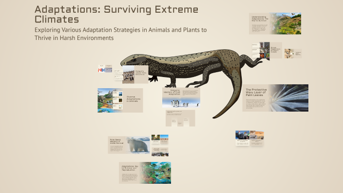 Adaptations: Surviving Extreme Climates by Mohamed Khalaf Abogharip on ...