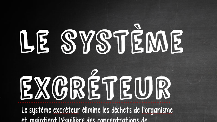 Le système excréteur by michele hamel on Prezi