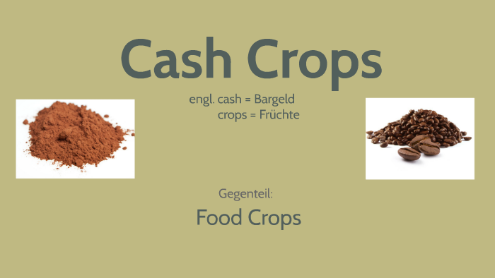 Cash Crops by Tobias H. on Prezi