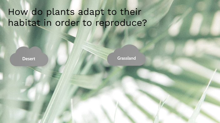 How do plants adapt to their habitat in order to reproduce? by Faidra ...
