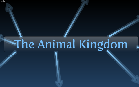Animal Kingdom Project by Andrew Thompson on Prezi
