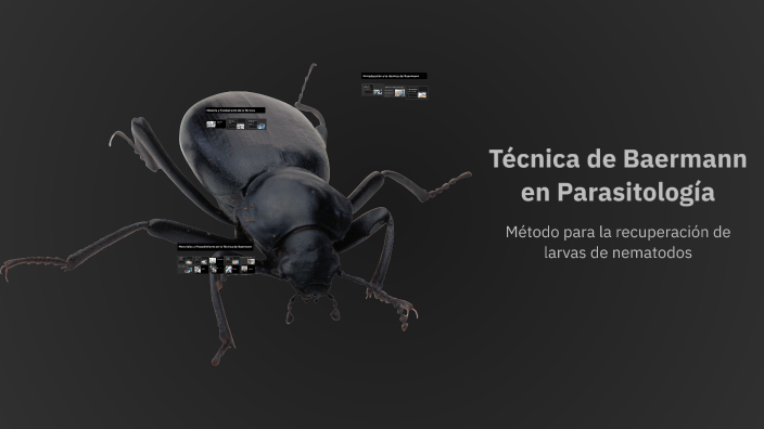 Técnica de Baermann en Parasitología by ANDRICK RAMIREZ GONZALEZ on Prezi