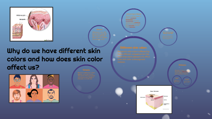 Why do we have different skin colors? by Salma Moreno on Prezi