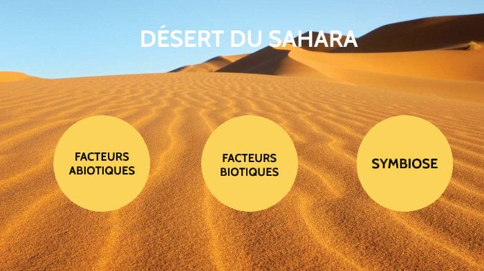 Sahara Desert Project by ANASTASIA GRAVES on Prezi