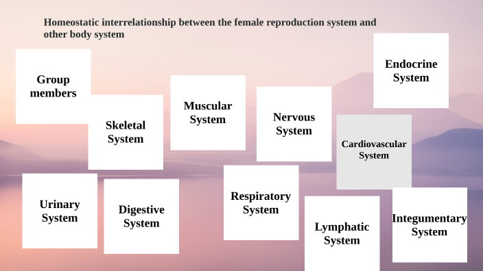 HAP Assignment Presentation by GIAN XIU LIN . on Prezi