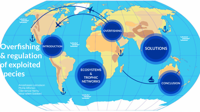 Overfishing & regulation of exploited species by Marie Alfonso on Prezi
