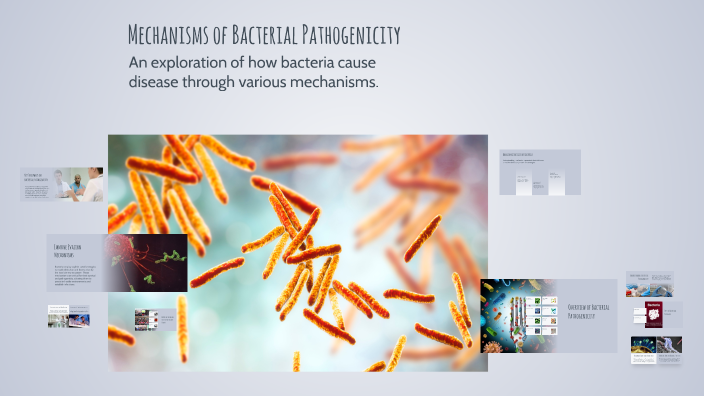 Mechanisms of Bacterial Pathogenicity by Elaf Omer on Prezi
