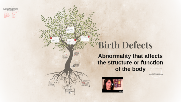 Birth Defects Adult Roles and Responsibilities by Nicole Woodring on Prezi