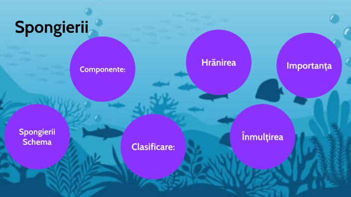Spongierii by Miruna Teodorescu on Prezi