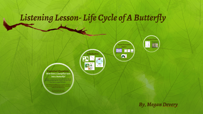 Listening Lesson- Life Cycle of A Butterfly by Megan Devery on Prezi