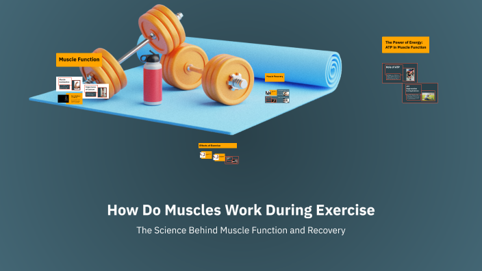 How Do Muscles Work During Exercise by Charlie Werger on Prezi