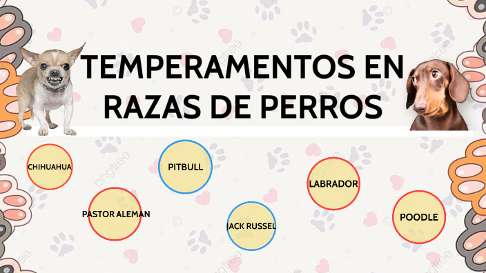 RAZAS DE PERROS by Melany Chávez on Prezi