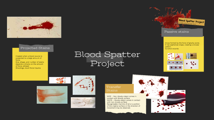 Blood Spatter Project - Justin Hauser and Presley Johnson by Presley ...