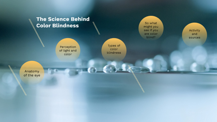 The Science Behind Color Blindness by Marissa Flanegan on Prezi