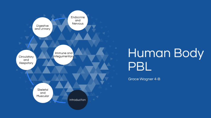Human Body PBL by Grace Wagner on Prezi