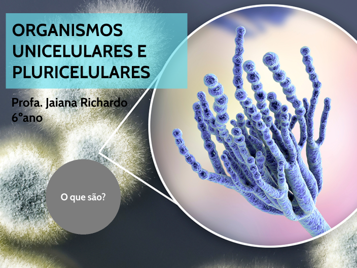 uni e pluri by Jaiana Richardo on Prezi