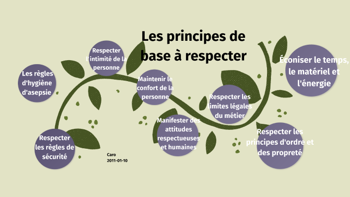 Les principes de base à respecter by Caroline Rioux on Prezi