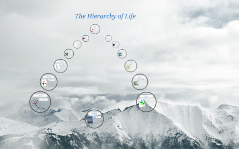 The Hierarchy of Life by Hesten Staples on Prezi